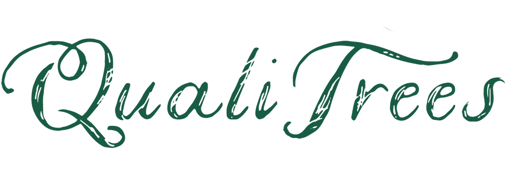 QualiTrees Collective – qualitreescollective